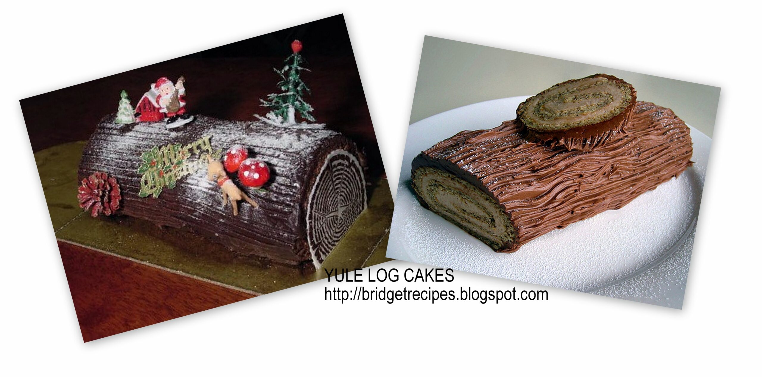 CHOCOLATE YULE LOG CAKE - BRIDGET WHITE